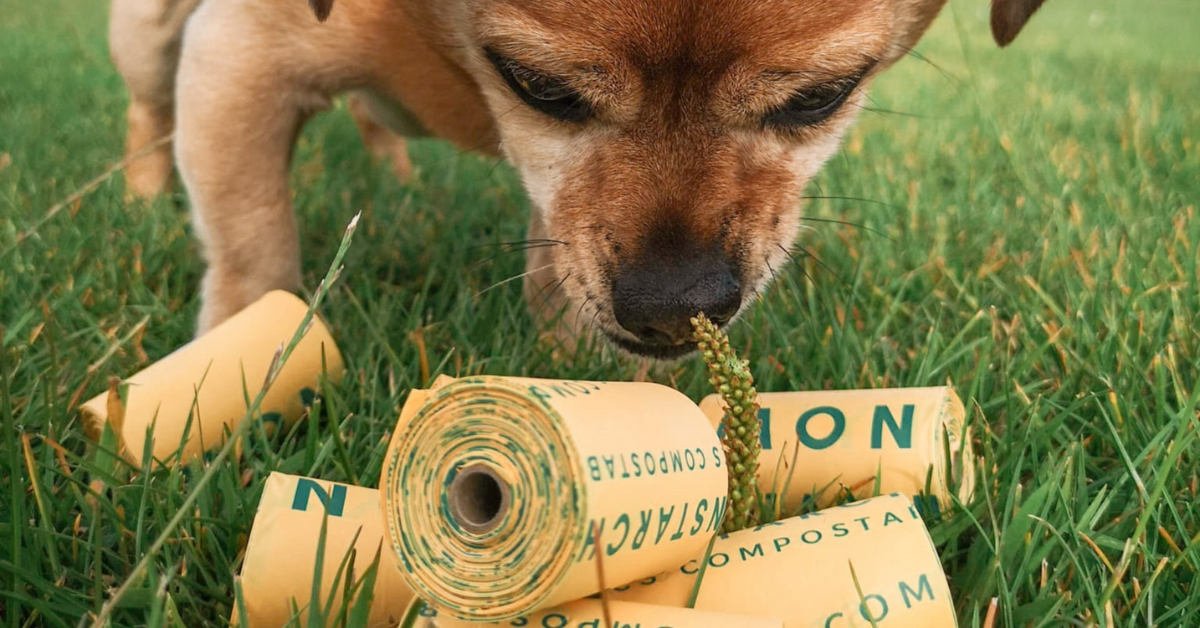 Certified Compostable Dog Poop Bags | Monty’s Bags – Monty's Bags